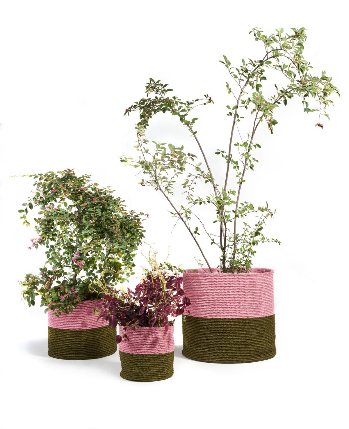 Chiscas Planters | ames vibrant living | Handmade Design